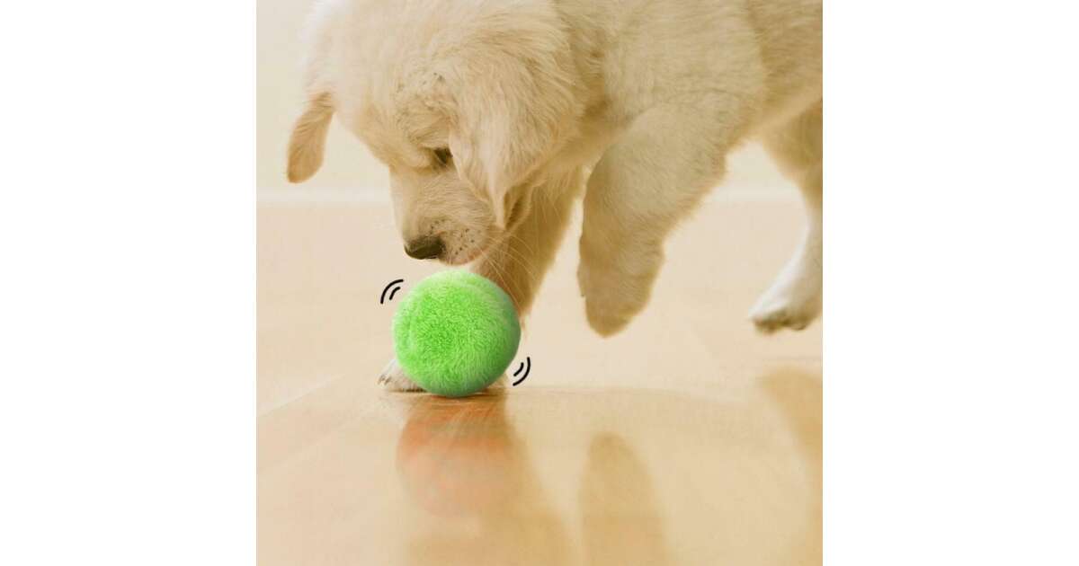 Kutyajáték, kutya labda, interaktív labda kutyáknak | Pepita.hu