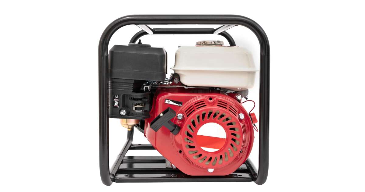 Professional Gasoline Pump 2 6.5 HP | Pepita.com