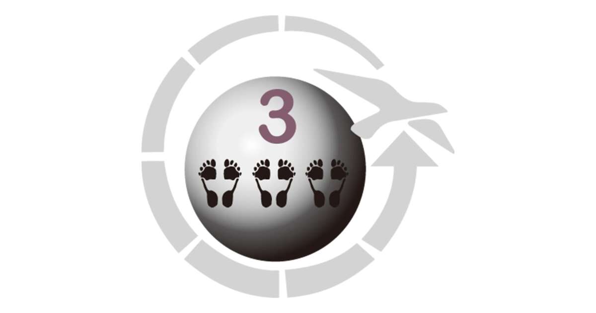 Easy Camp Eclipse 300 sátor 45837160