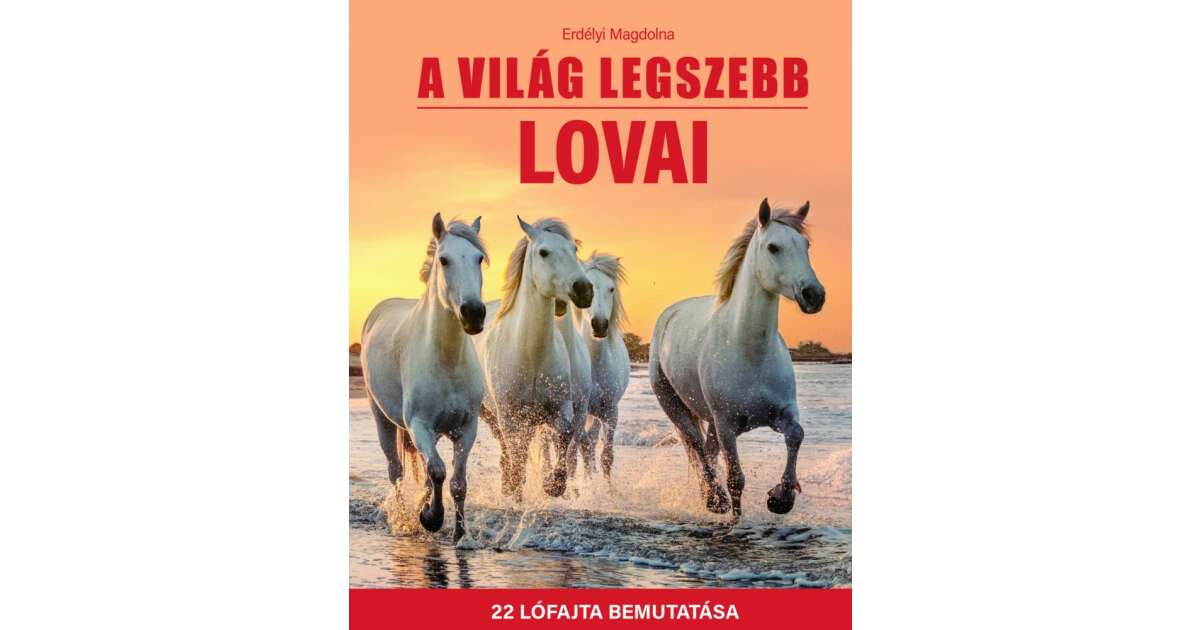 A világ legszebb lovai - 22 lófajta bemutatása | Pepita.hu