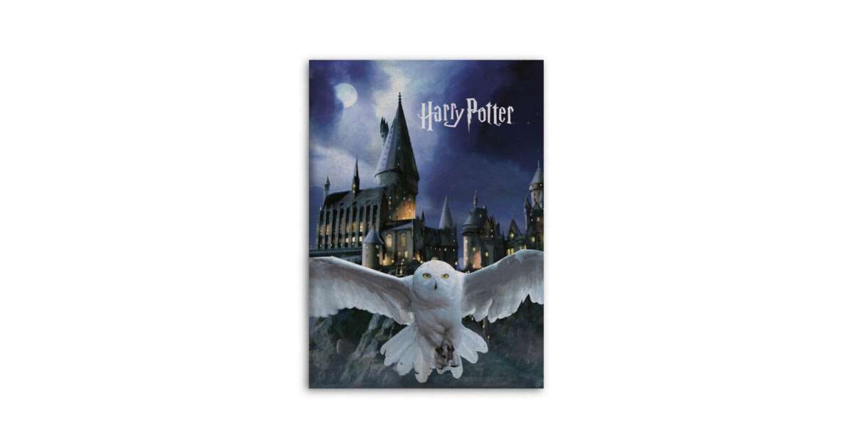 Harry Potter Roxfort polár takaró 100x140cm | Pepita.hu
