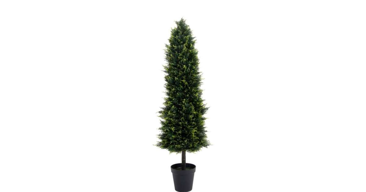 Élethű Tuja Fa 150 cm - Prémium Kerítés Menti Műtuja Fa 150 X 40 cm ...