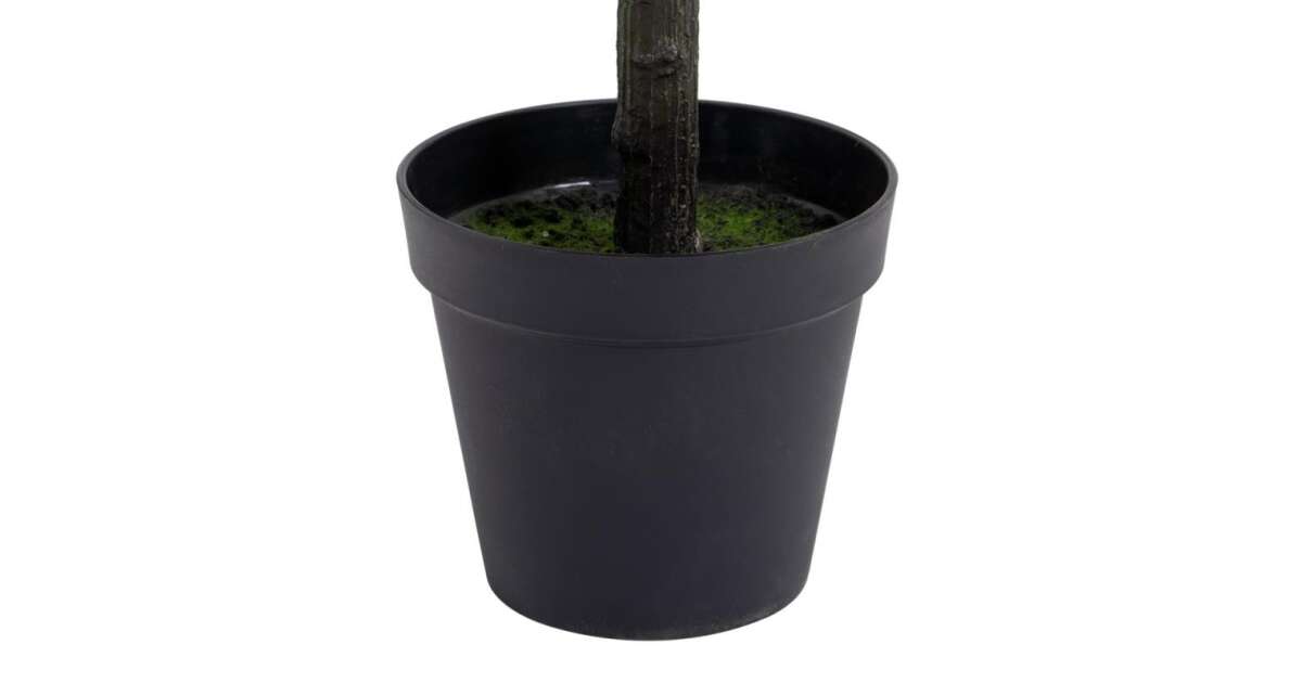 Élethű Tuja Fa 150 cm - Prémium Kerítés Menti Műtuja Fa 150 X 40 cm ...