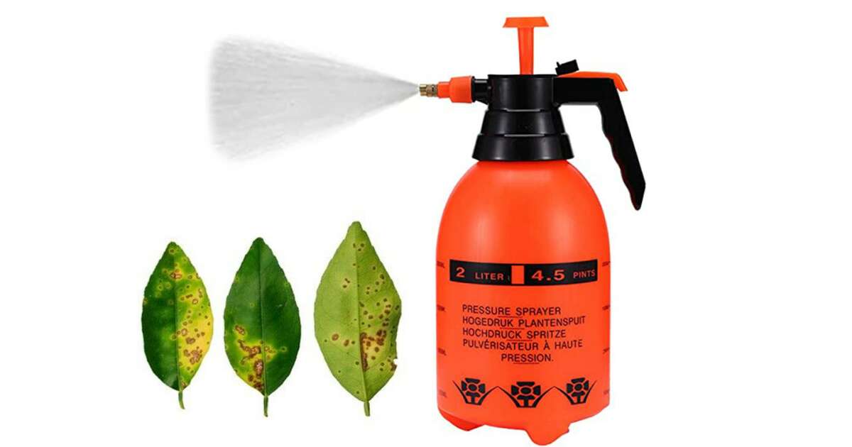 kézi permetező 2l, szórófejes palack | Pepita.hu