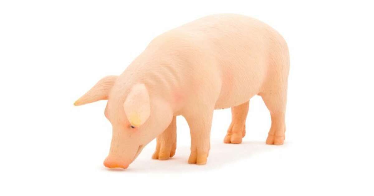 Mojo Kan disznó figura | Pepita.hu
