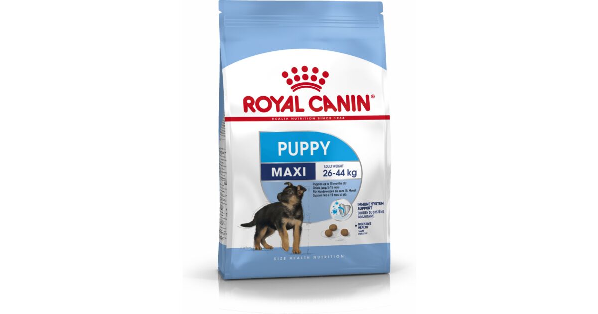 ROYAL CANIN SHN Maxi Puppy - sucha karma dla szczeniąt - 4kg | Pepita.com