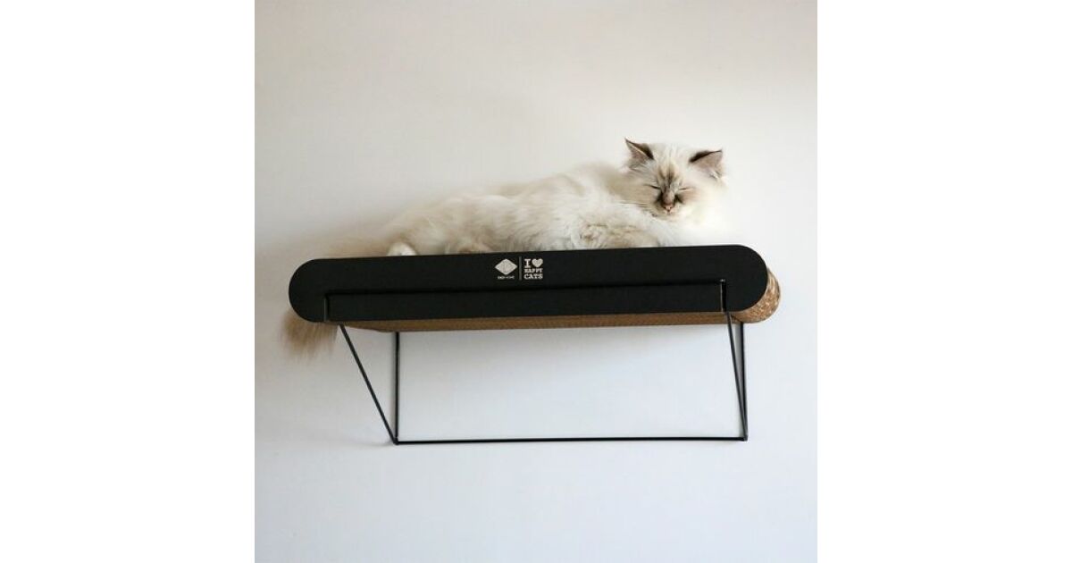 EBI D&D I Love Happy Cats David I Falra szerelhető karton polc ...