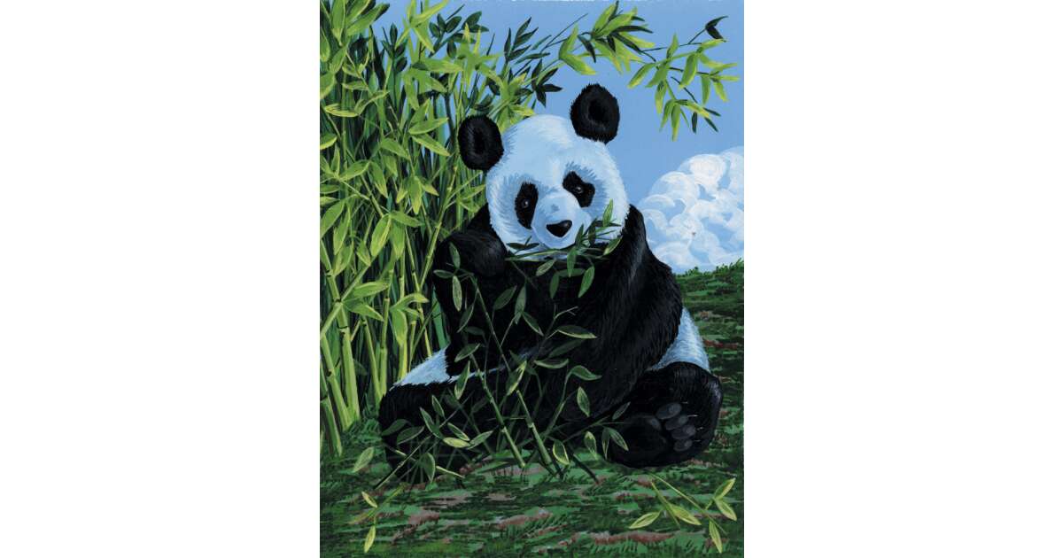 Kifestő készlet vászonra, akrilfestékkel, ecsettel, gyerekeknek 8 éves ...