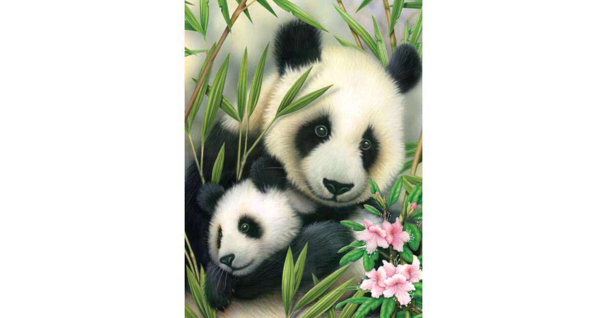 Kifestő - Pandák - 20x25 cm | Pepita.hu
