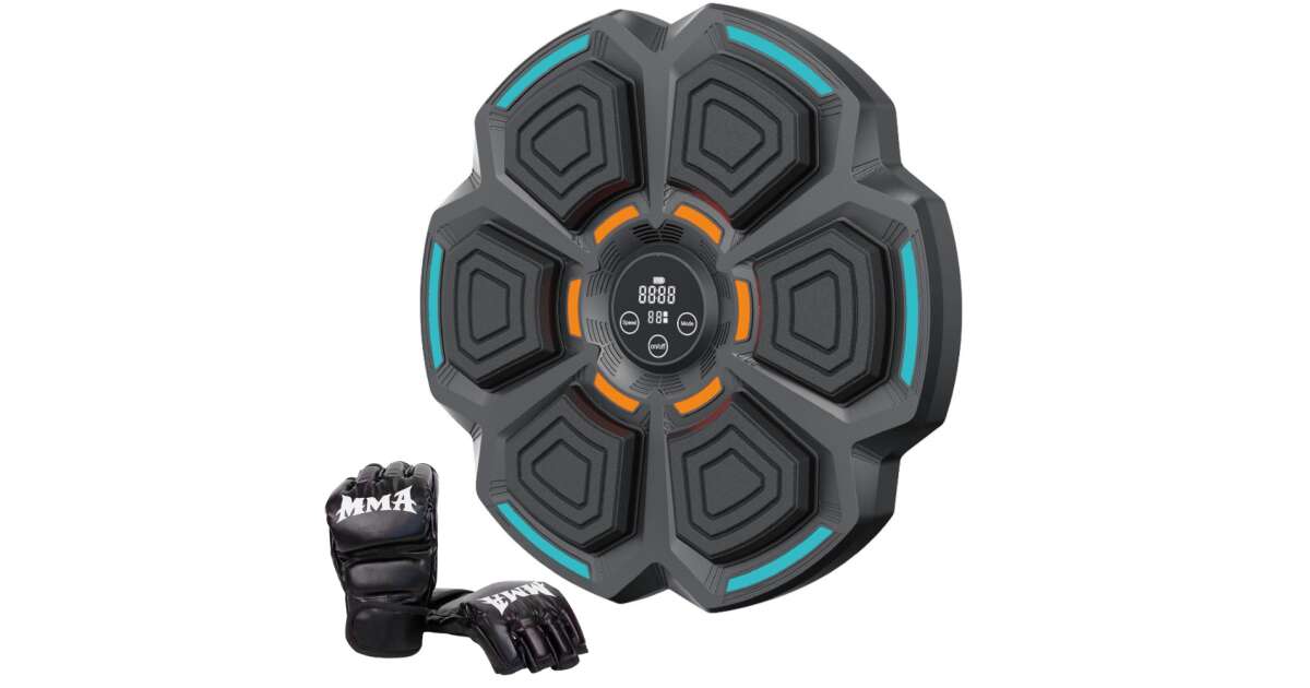 Danesso® Punching Bag with Built-in Speaker, Bluetooth Connection, Hit ...