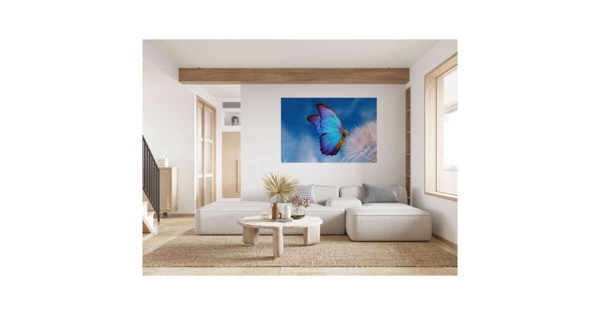 Tablou vászon Morpho pillangó pitypangon, 80x50cm, tabloucanvas561 ...