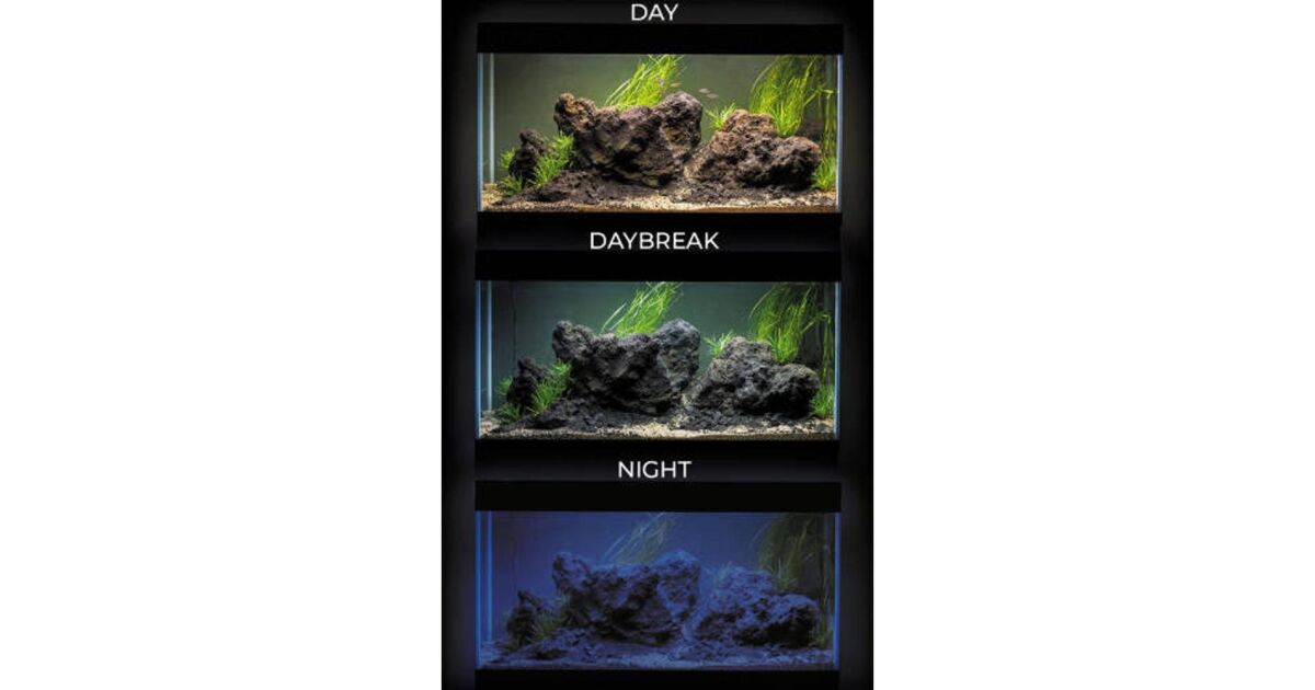 AquaEl OPTI Set 240 GRAVY 2.0 - akvárium szett 121x41x51cm (240l ...