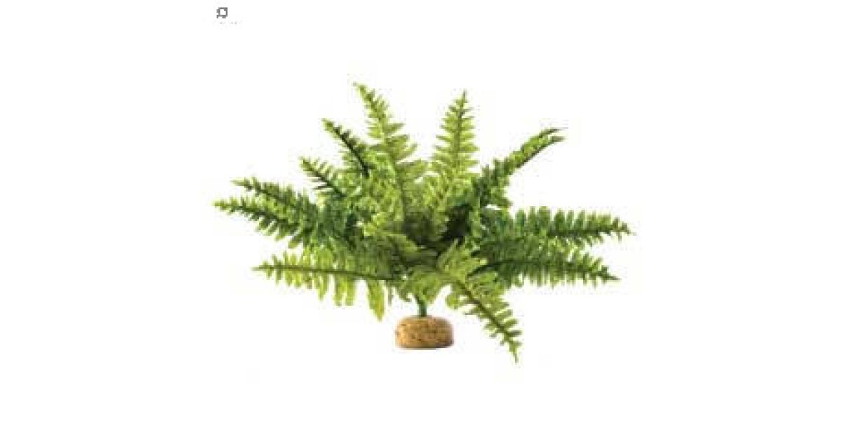 Exo-Terra Rainforest Plant Boston Fern Medium - Terráriumi műnövény ...