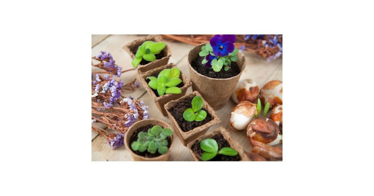 Tőzeg cserép kerek - 6x6cm - 18 db | Pepita.hu