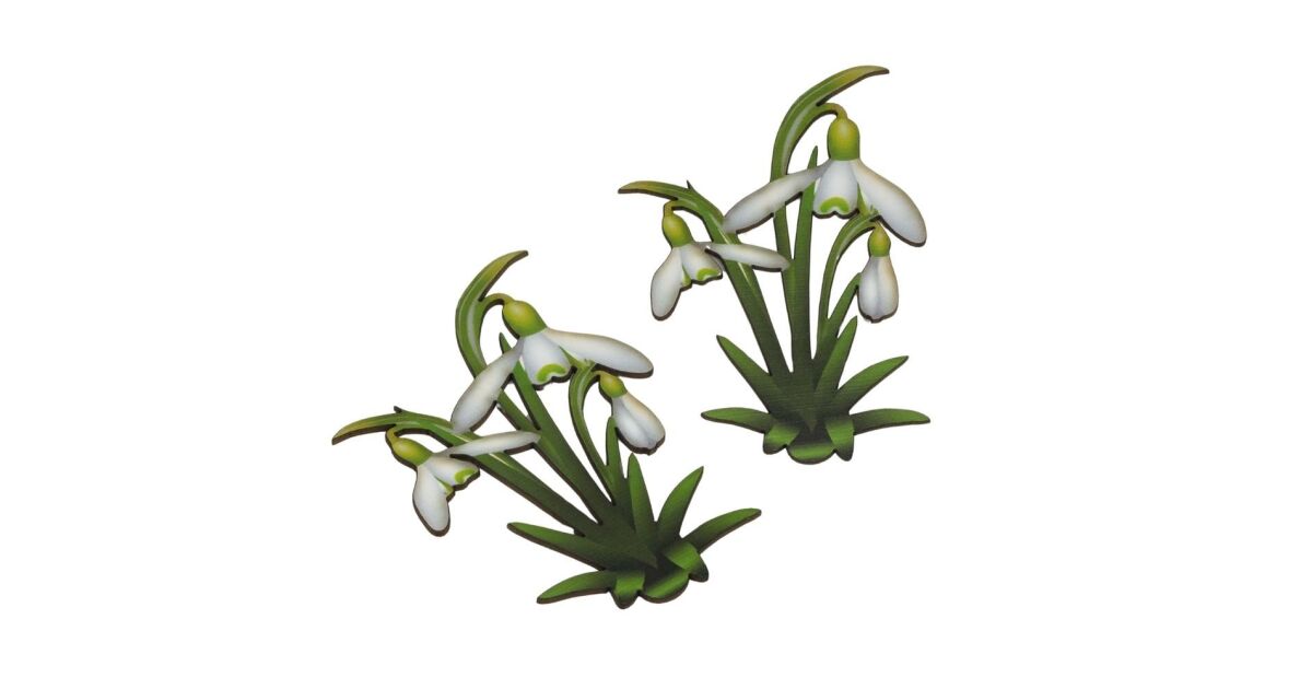 Nyomtatott dekorkarton - Hóvirág 2db | Pepita.hu