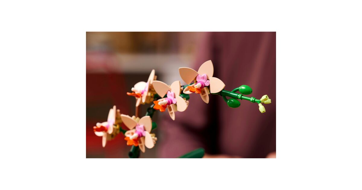 LEGO® Botanicals Mini orchidea 10343 | Pepita.hu