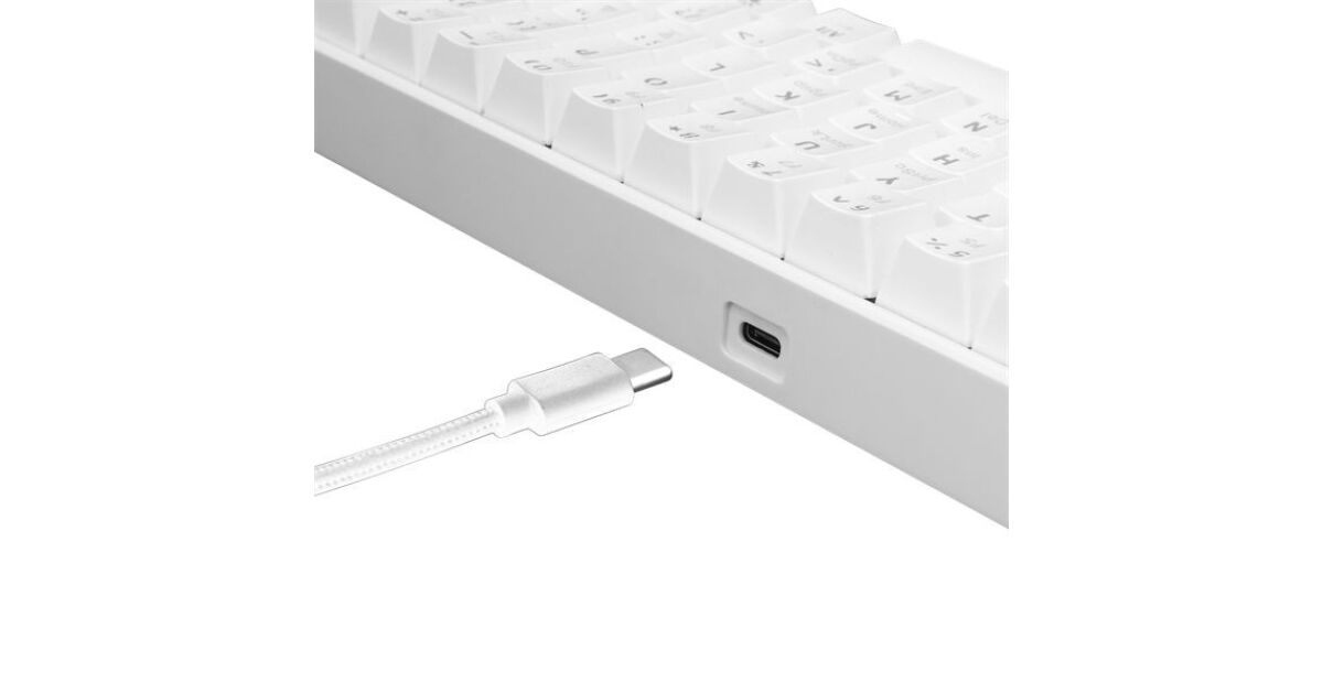 White Shark GK-2022W Shinobi Blue Switches Mechanical 60% Gaming ...