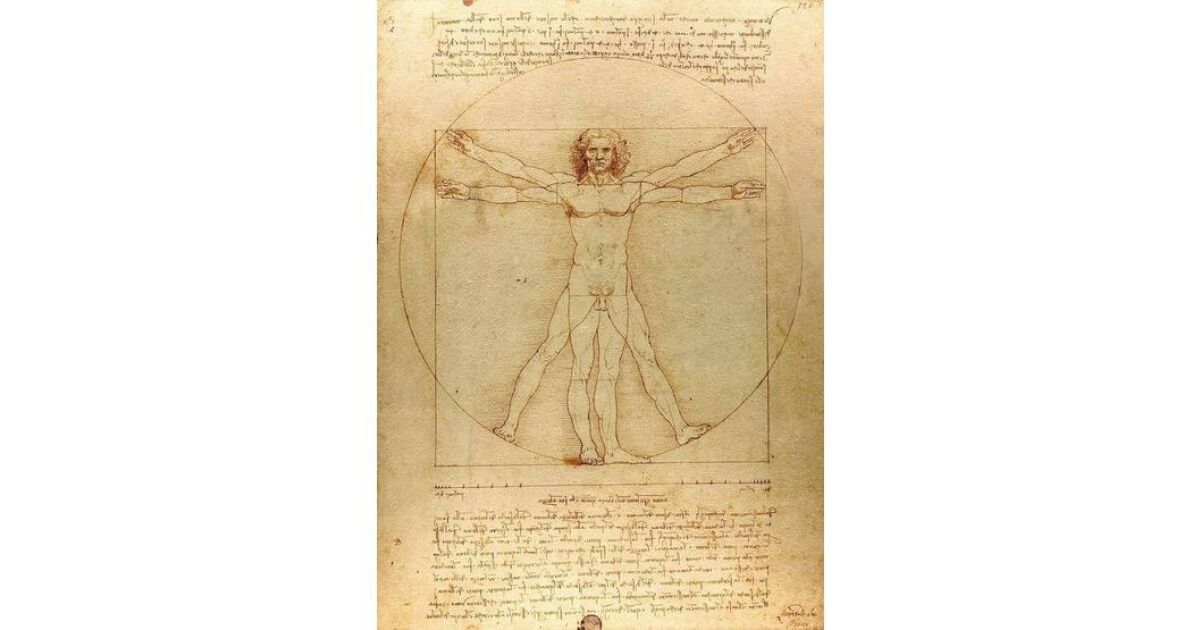 Puzzle 1000 Teile Enjoy – Leonardo da Vinci: Der Vitruvianische Mensch ...