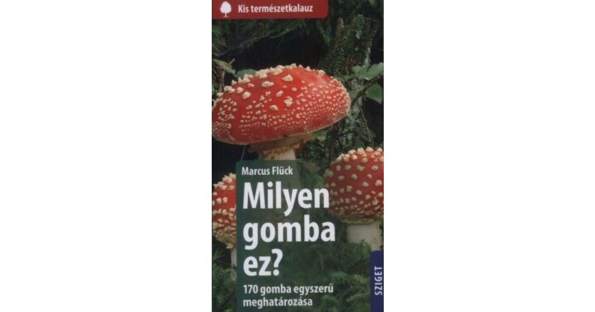 Milyen gomba ez? - 170 gomba egyszerű meghatározása | Pepita.hu