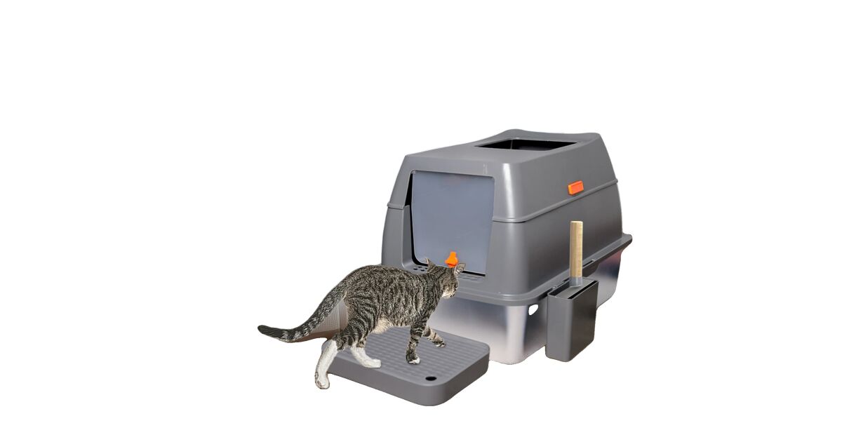 Macska alom doboz, tartós felépítés, intelligens kettős belépés, 8 ...