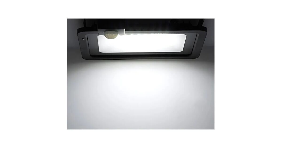 LED reflektor 50 W, 6000 K hideg fehér fény, IP66, fekete, kültéri ...