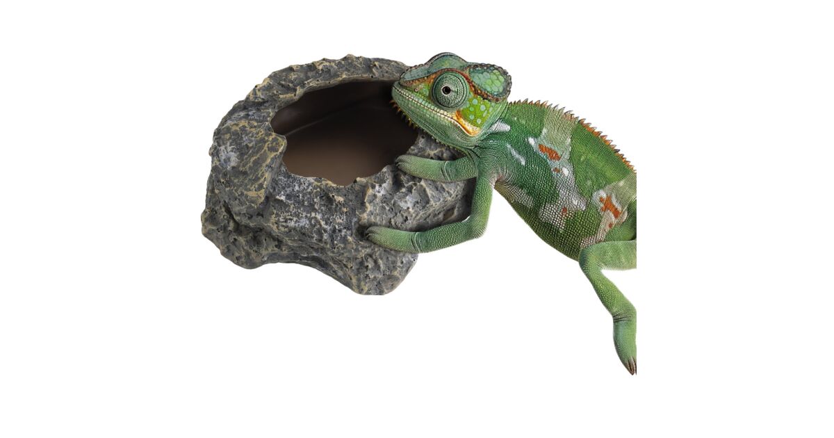Castron hrana reptile Navaris, pentru serpi, gecko, soparle, broaste ...
