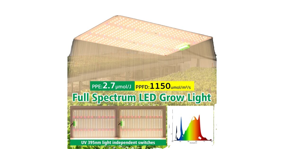 LED Grow Fight, teljes spektrum, energiahatékony, 240W | Pepita.hu