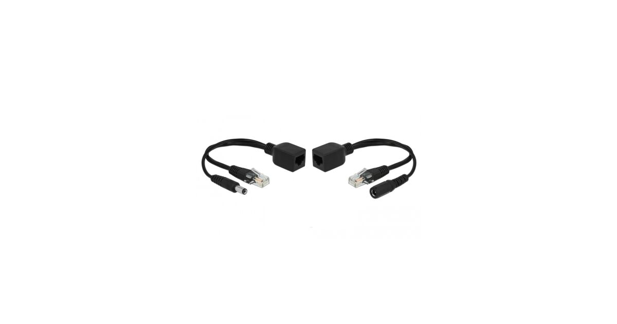 DeLOCK 66024 PoE adapter Fast Ethernet | Pepita.hu