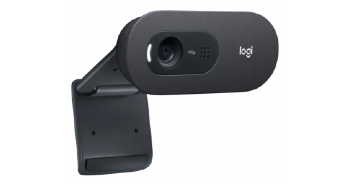 Cameră web Logitech C505 HD cu microfon cu rază lungă de acțiune | Pepita.com
