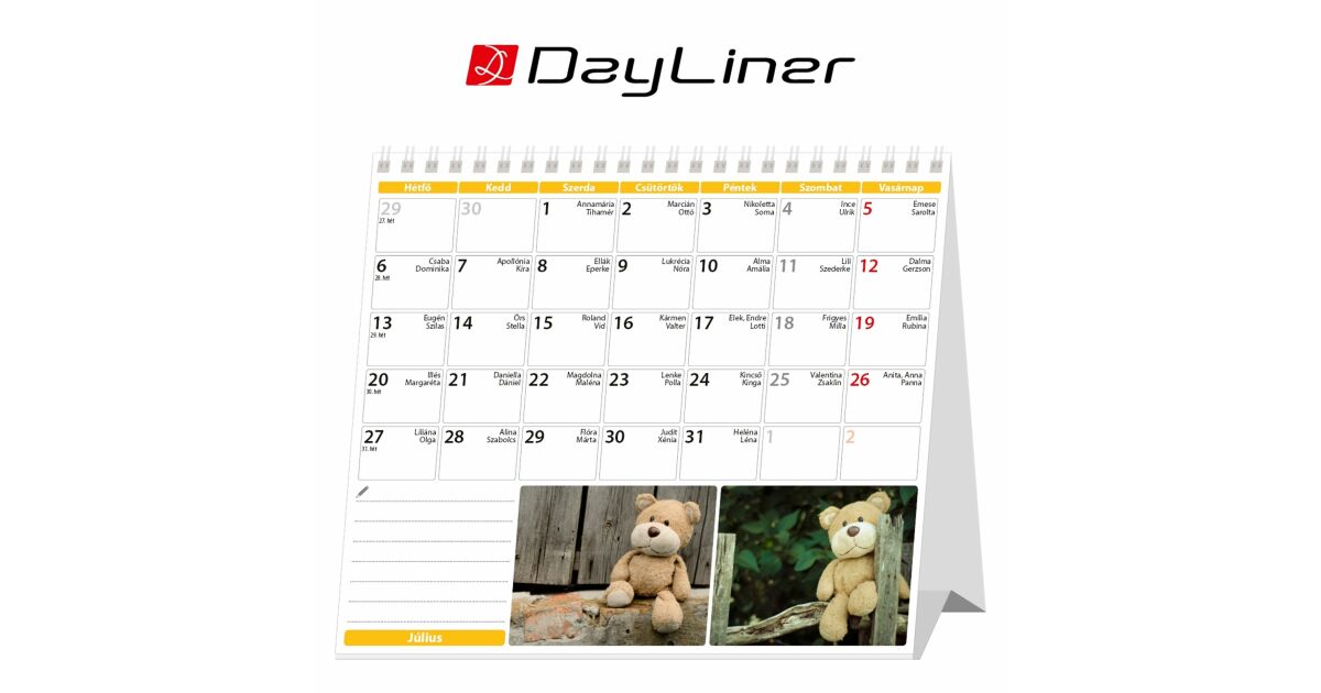 Dayliner asztali naptár Teddy álló mini 2026 | Pepita.hu