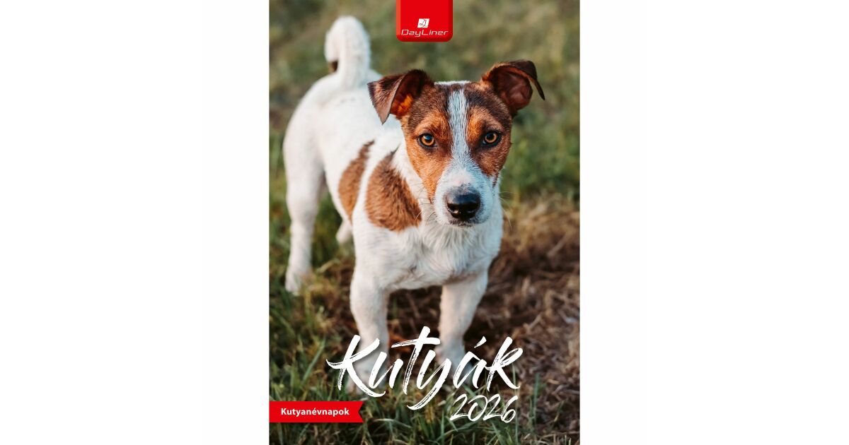 Dayliner falinaptár Kutyák B4 2026 | Pepita.hu