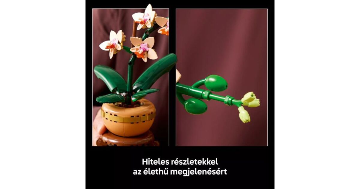 LEGO® Botanicals Mini-Orchidee 10343 | Pepita.com