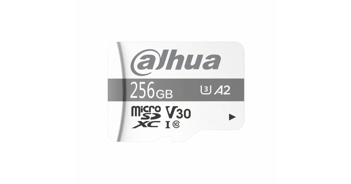 Hard Disk DAHUA TECHNOLOGY P100 256 GB SSD | Pepita.com