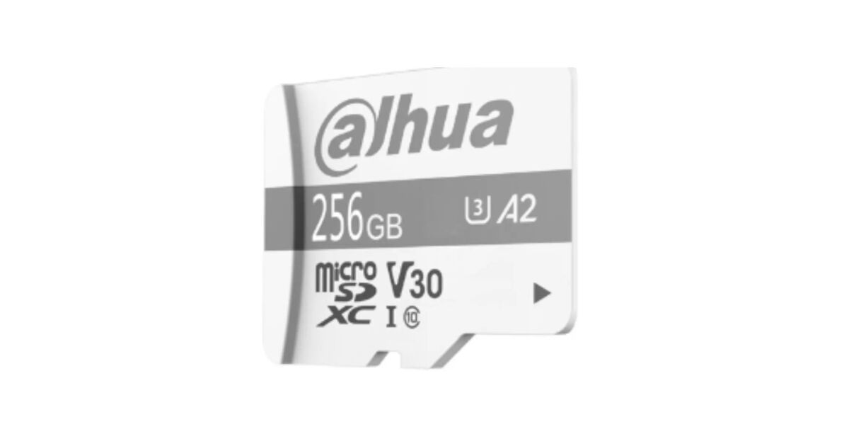 Hard Disk DAHUA TECHNOLOGY P100 256 GB SSD | Pepita.com