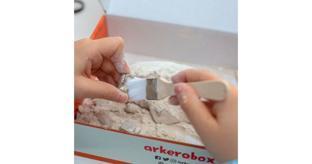 Arkerobox - Oktatási régészeti szett és 3D puzzle, Moai Fejek | Pepita.hu