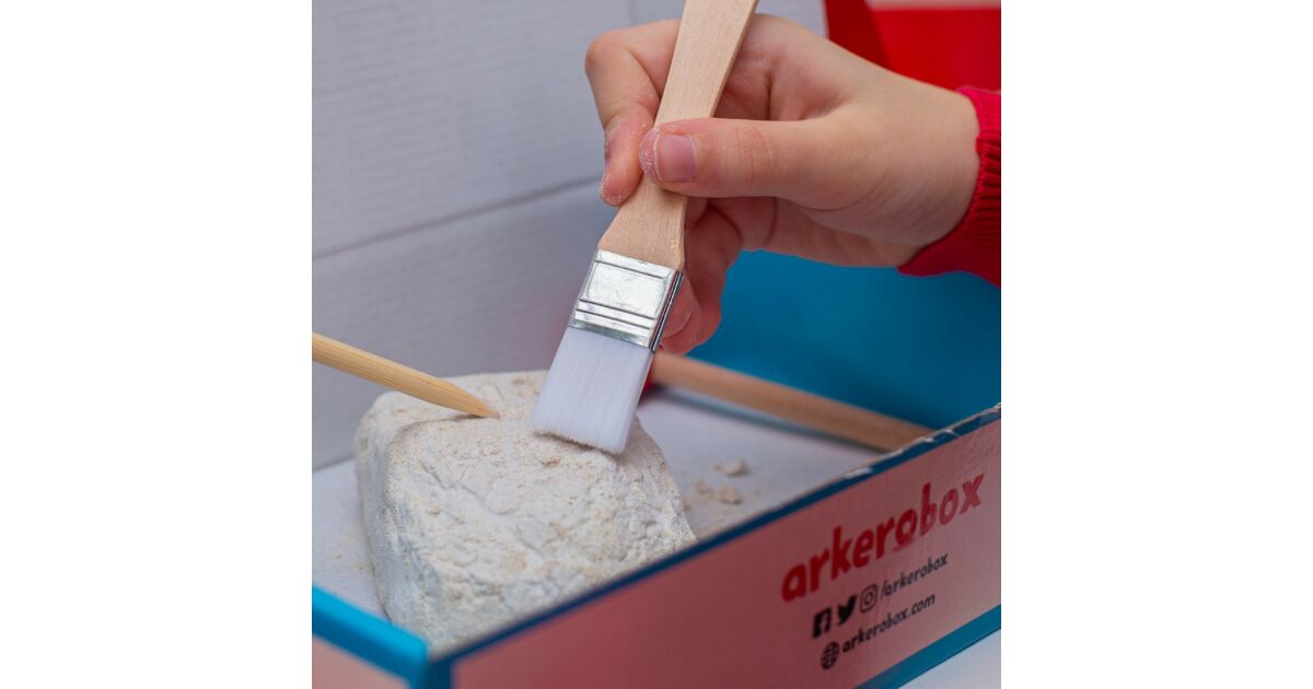 Arkerobox - Oktatási régészeti szett és 3D puzzle, Moai Fejek | Pepita.hu