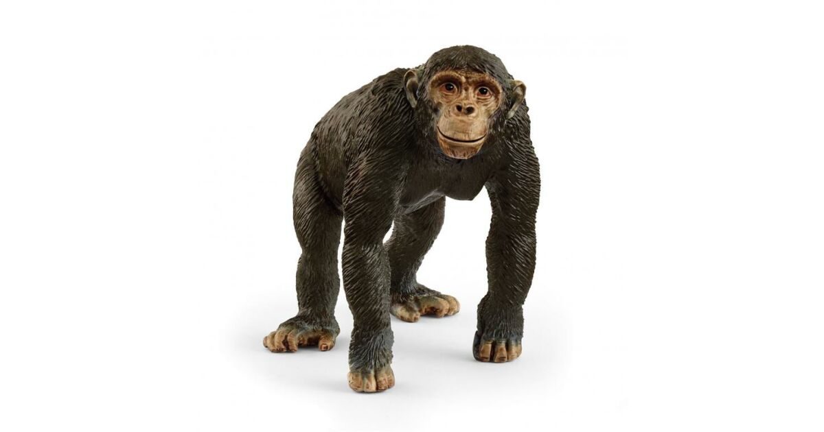 Schleich 14883 Csimpánz | Pepita.hu