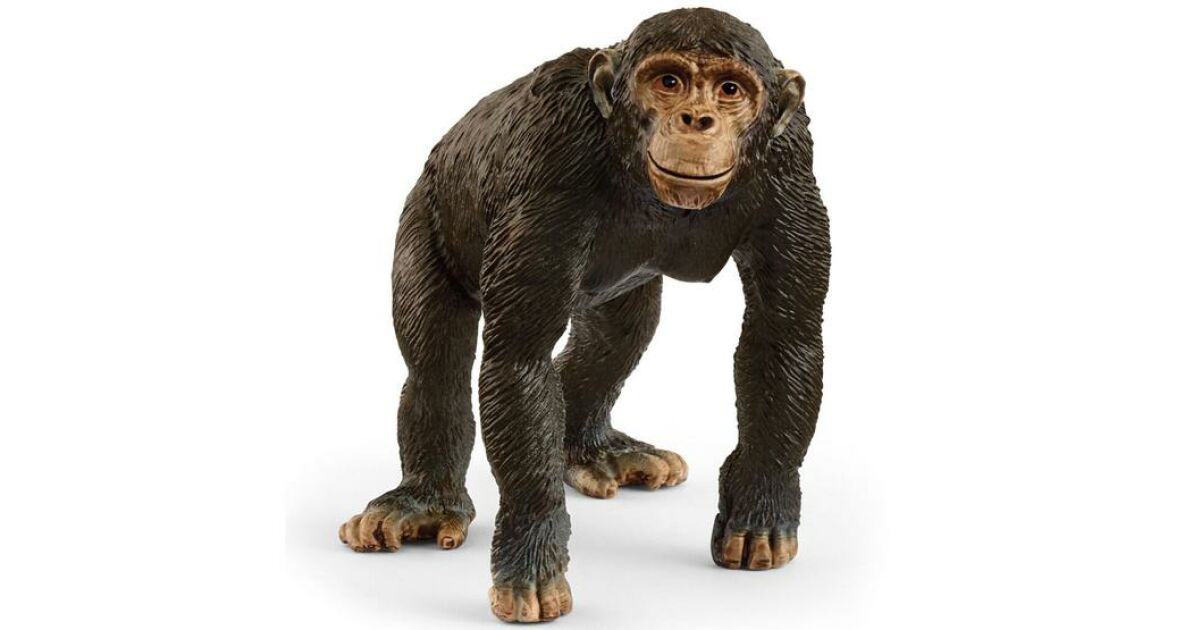 Schleich 14883 Csimpánz | Pepita.hu