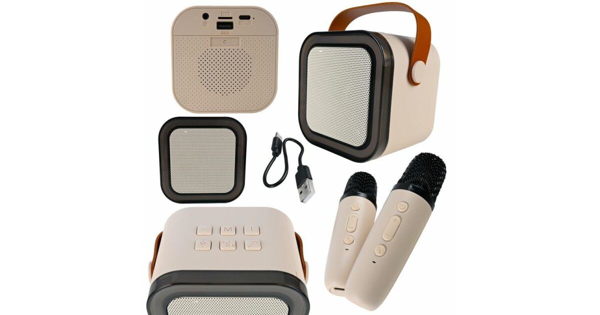 SET KARAOKE Q17D CU 2 MICROFONE ȘI DIFUZOR | Pepita.com