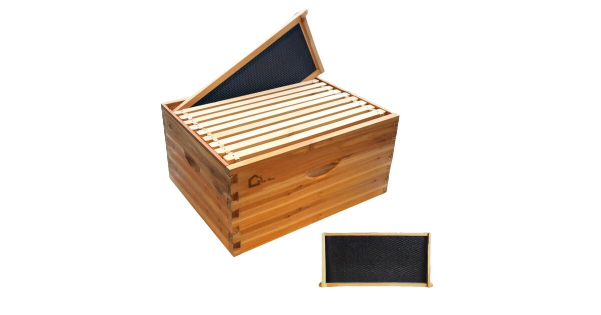 Bee Hive Deep Brood Box, 10 vázkapacitás, fenyőfa szerkezet, viaszos ...