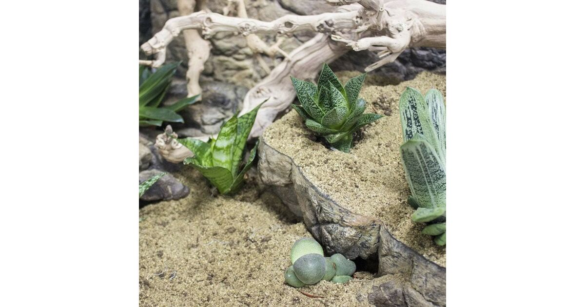 ProRep | Life Desert Substrate -10 Liter | Pepita.hu