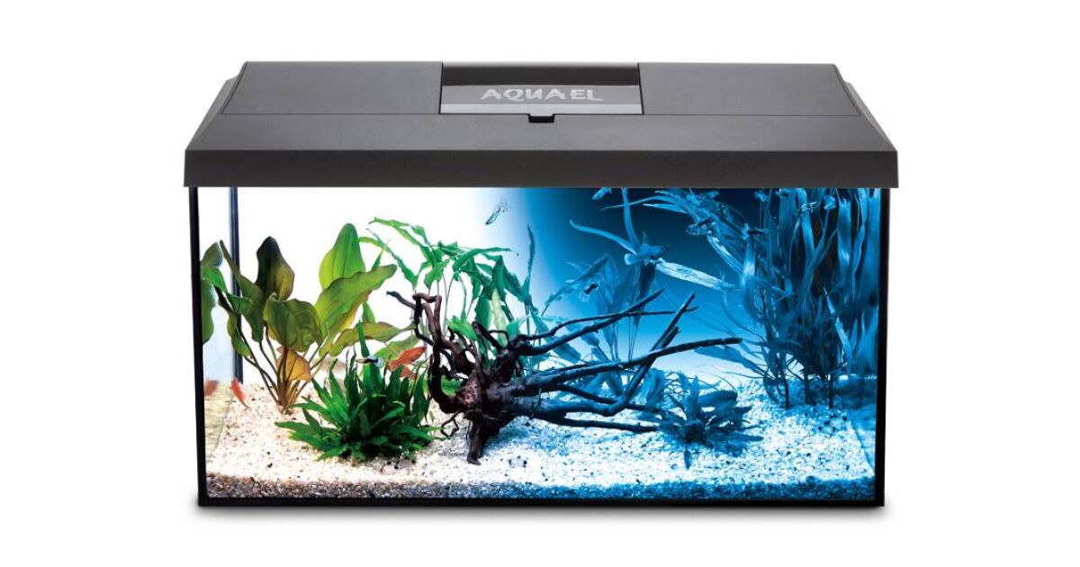 AquaEl Leddy Day&Night 60 black | Akvárium szett (fekete) - 60x60x30 cm ...