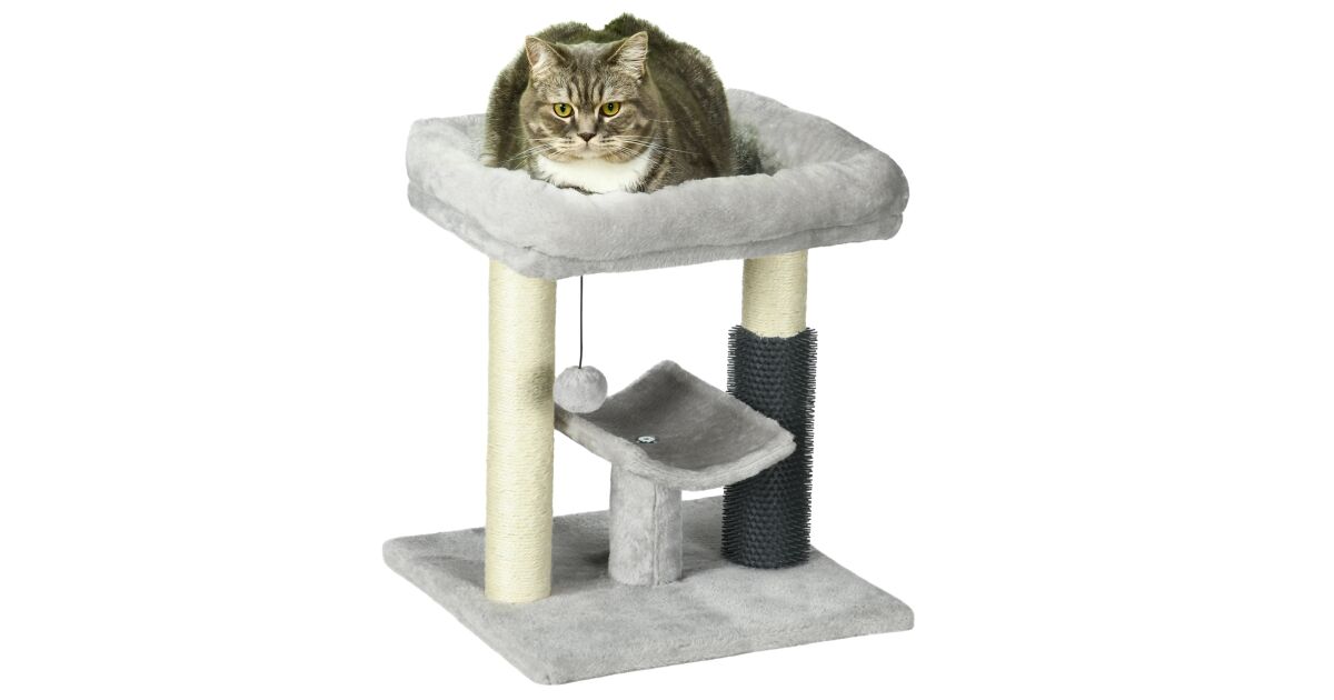 Paracetamol Fã¼r Katzen