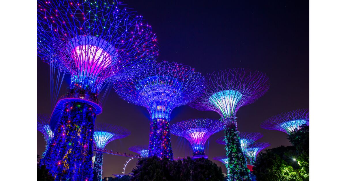 Tapéta Park Singapore 3, 300 x 200 cm | Pepita.hu