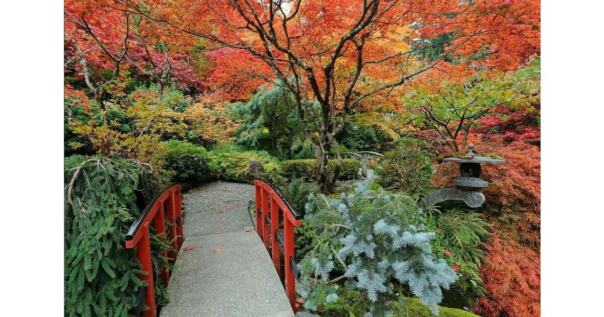 Tapéta Japán kert 3, 300 x 200 cm | Pepita.hu