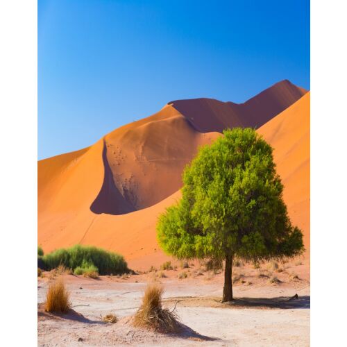 Natura93 tapéta, 150 x 205 cm | Pepita.hu