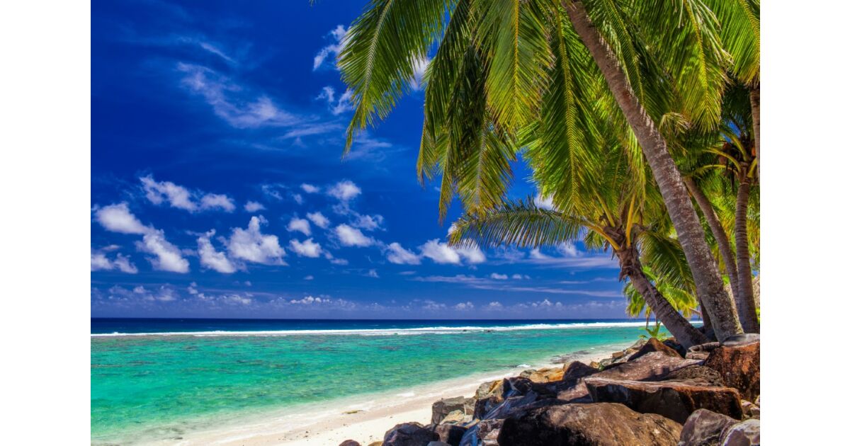 Blueback MAT Palmieri Fotótapéta, Trópusi tengerpart, 300 x 250 cm ...