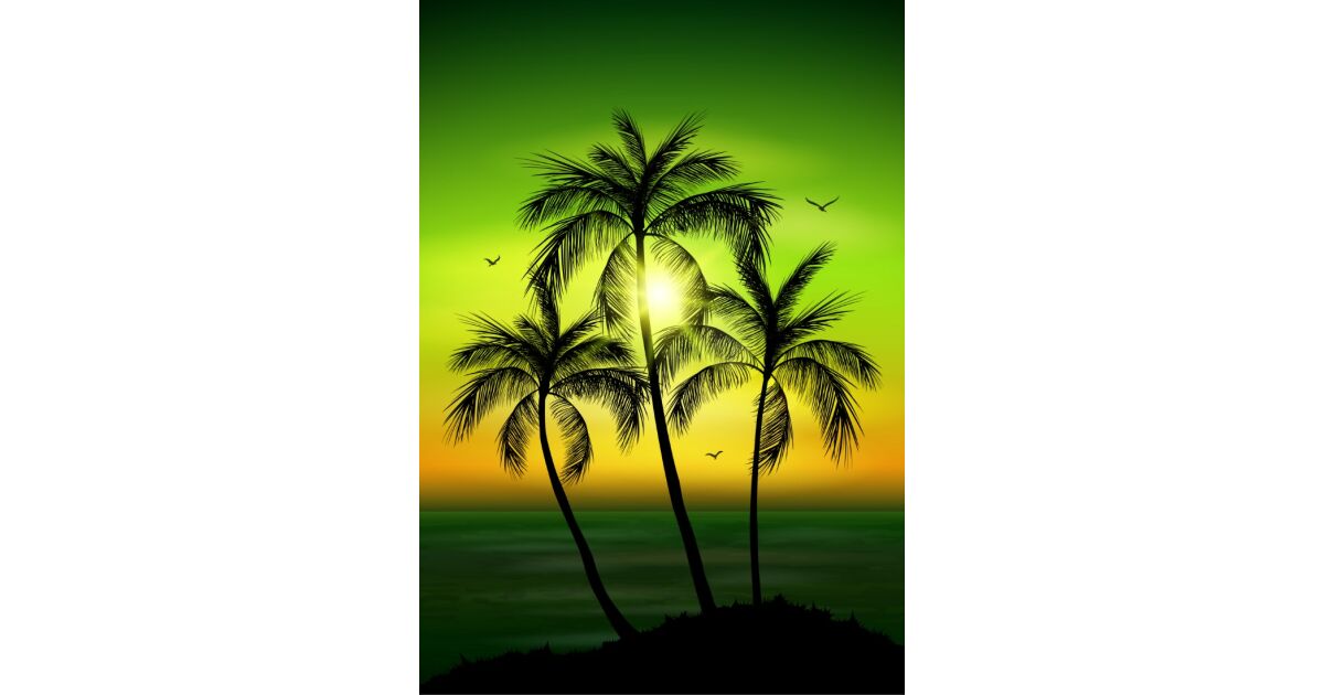 Média Palmieri 2 tapéta, 135 x 225 cm | Pepita.hu