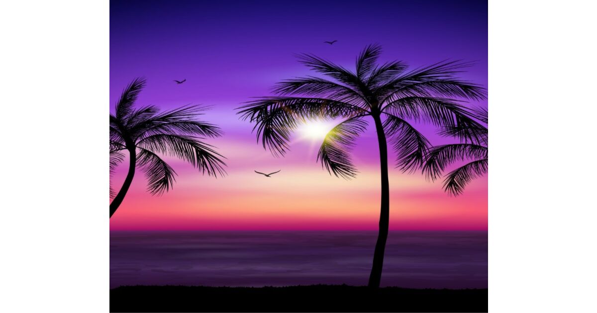 Média Palmieri 5 Öntapadó és mosható fali tapéta, 270 x 200 cm | Pepita.hu