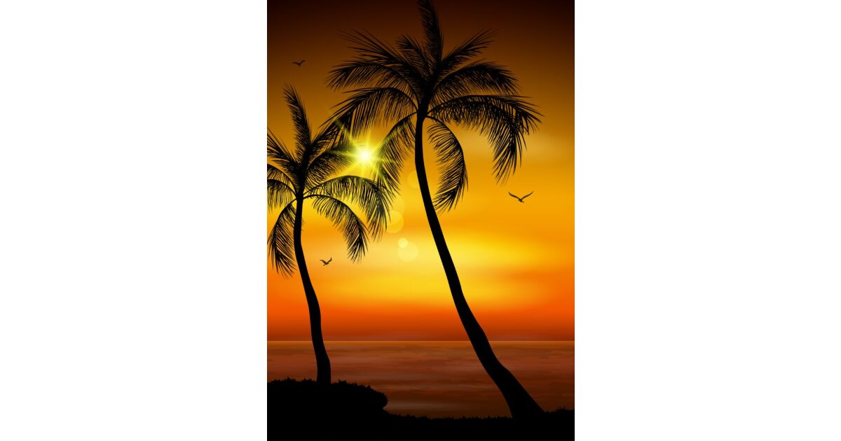 Blueback Mat Palmieri 6 Tapéta, 200 x 255 cm | Pepita.hu